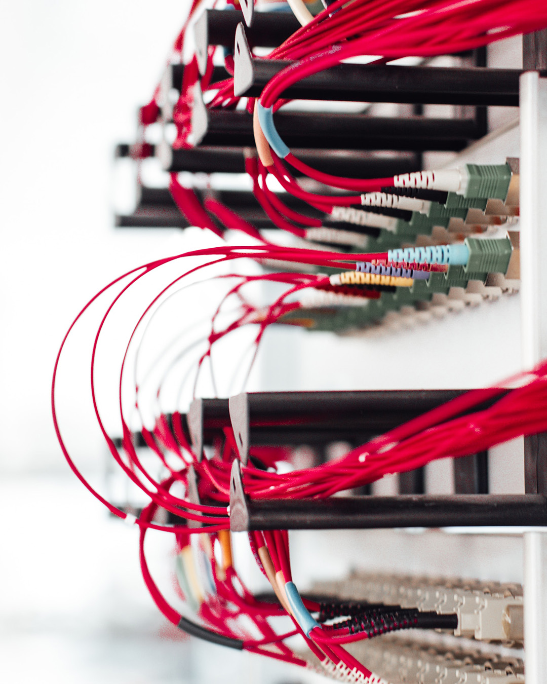 Homepage - ARI Foods