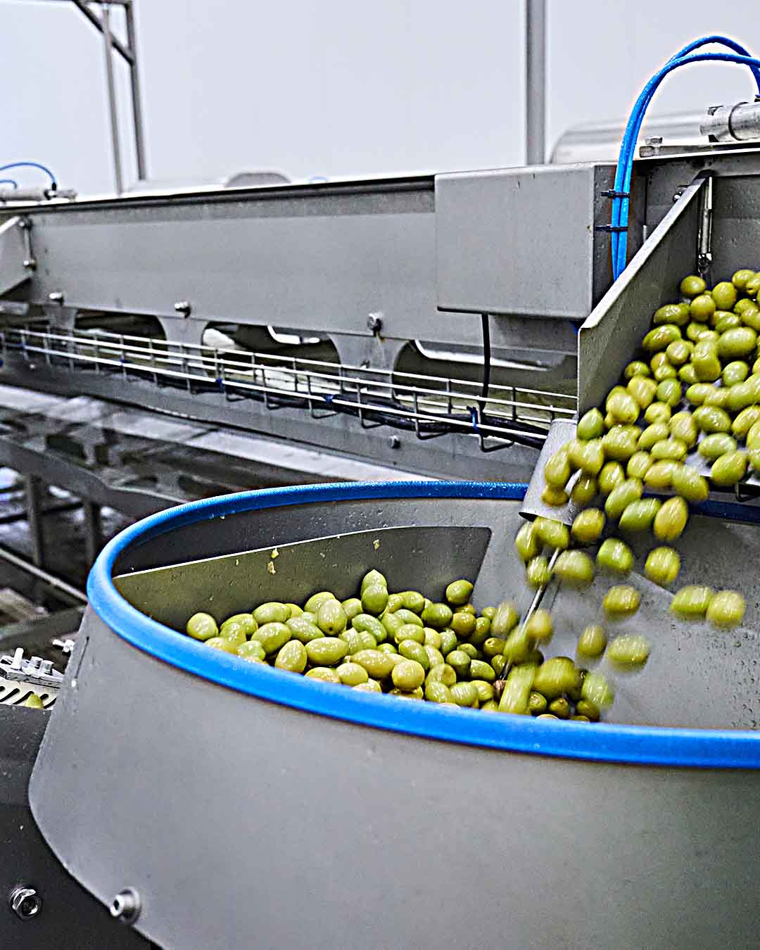 Αρχική - ARI Foods