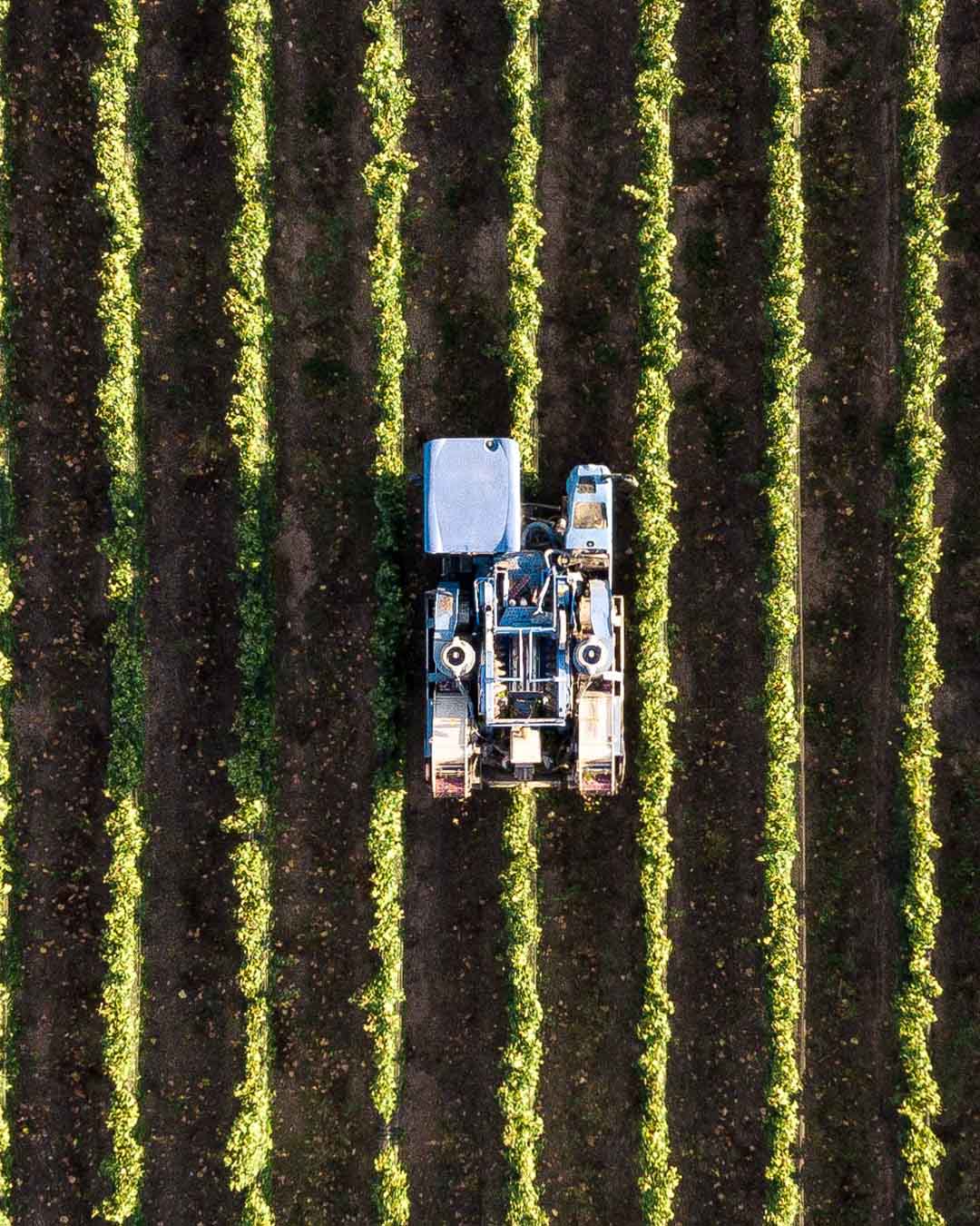 Αρχική - ARI Foods